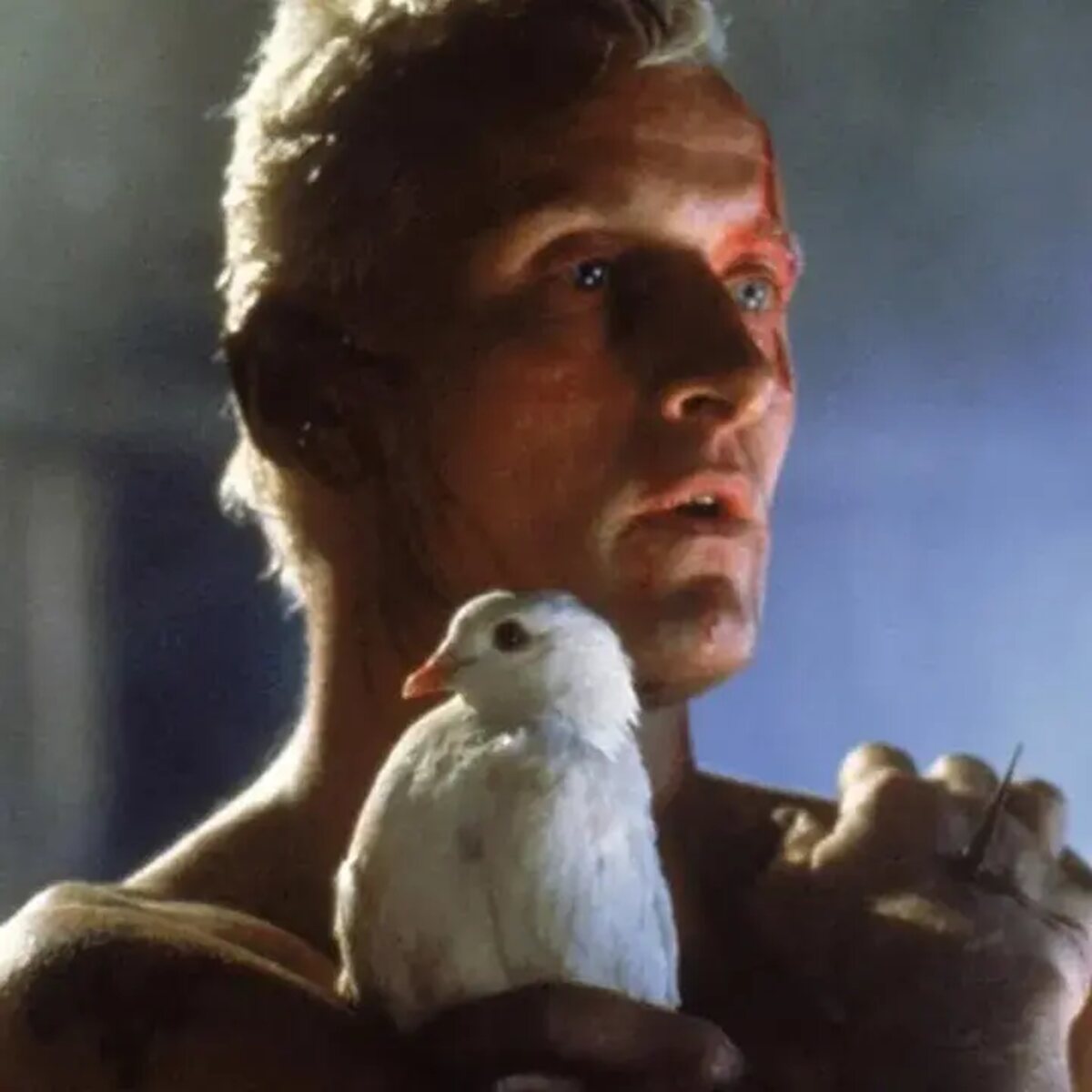 Does the Dove Die in Blade Runner (1982) - Movies & Chai